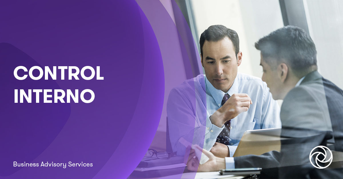 Control Interno | Grant Thornton